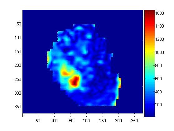 Fingerprint Recognition System Based On Matlab Banana
